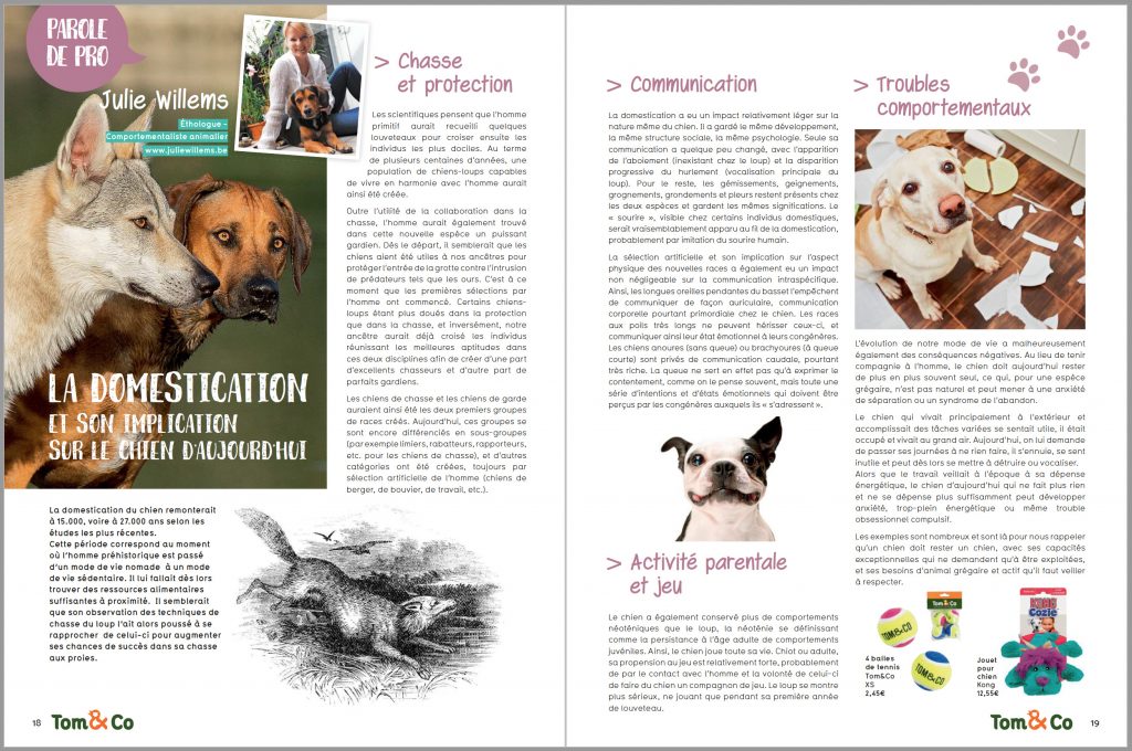 La domestication et son implication sur le chien d’aujourd’hui ...